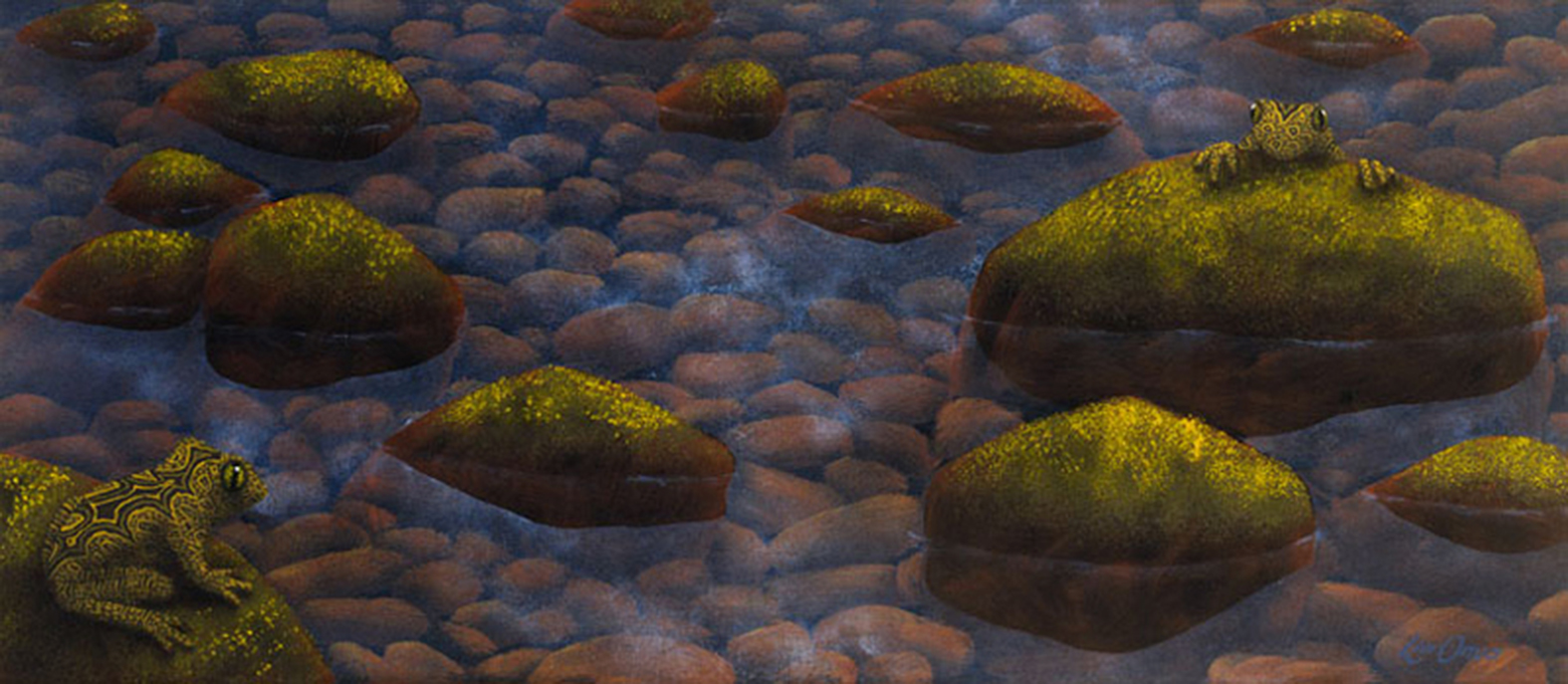 GARKMAN BUMIRILI NYANGI (framed) in stock at Art Nomad