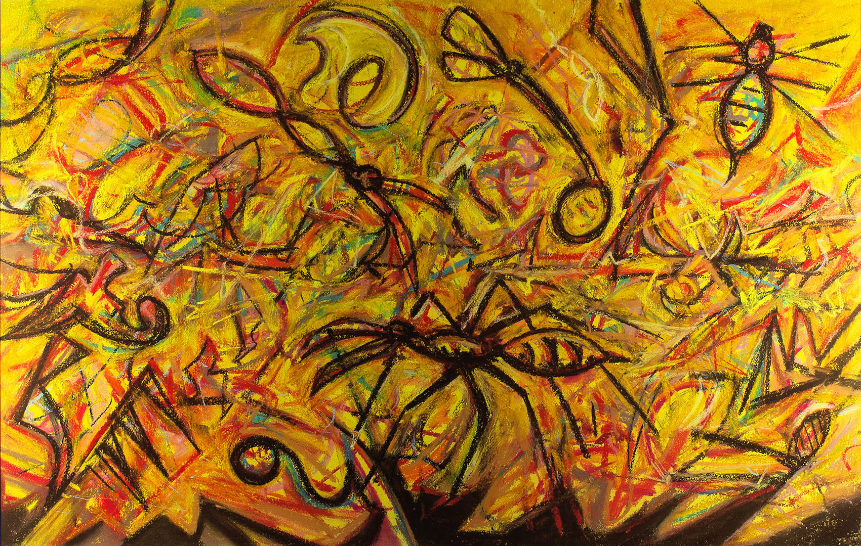 INSECTS in stock at Art Nomad