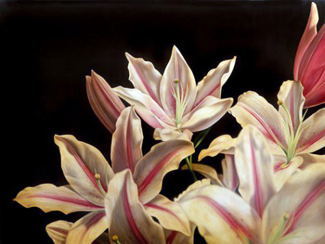 OPEN ARMS in stock at Art Nomad